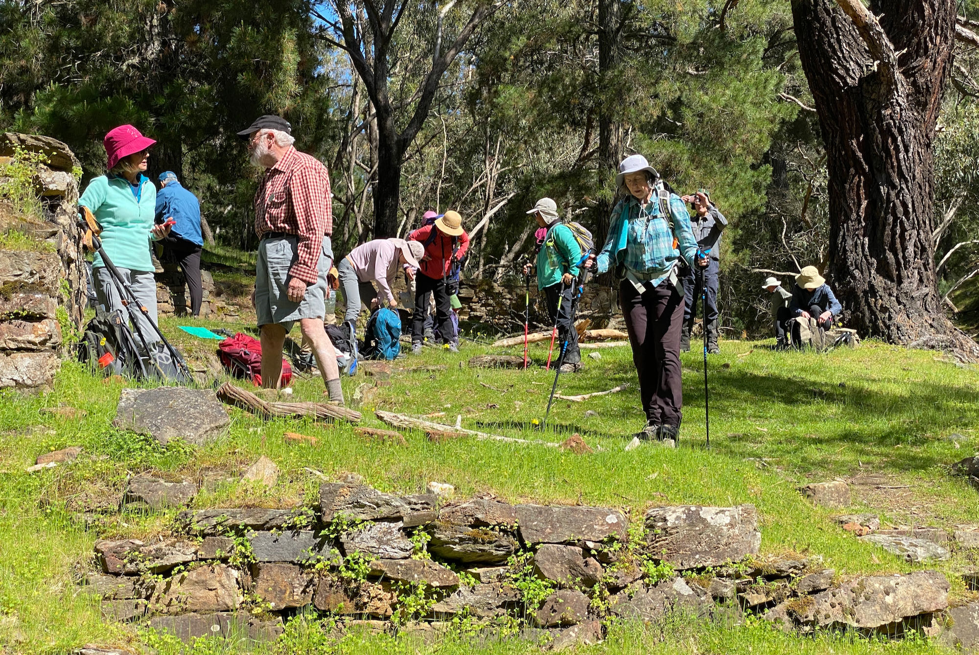 About Us – Waverley Bushwalking Club