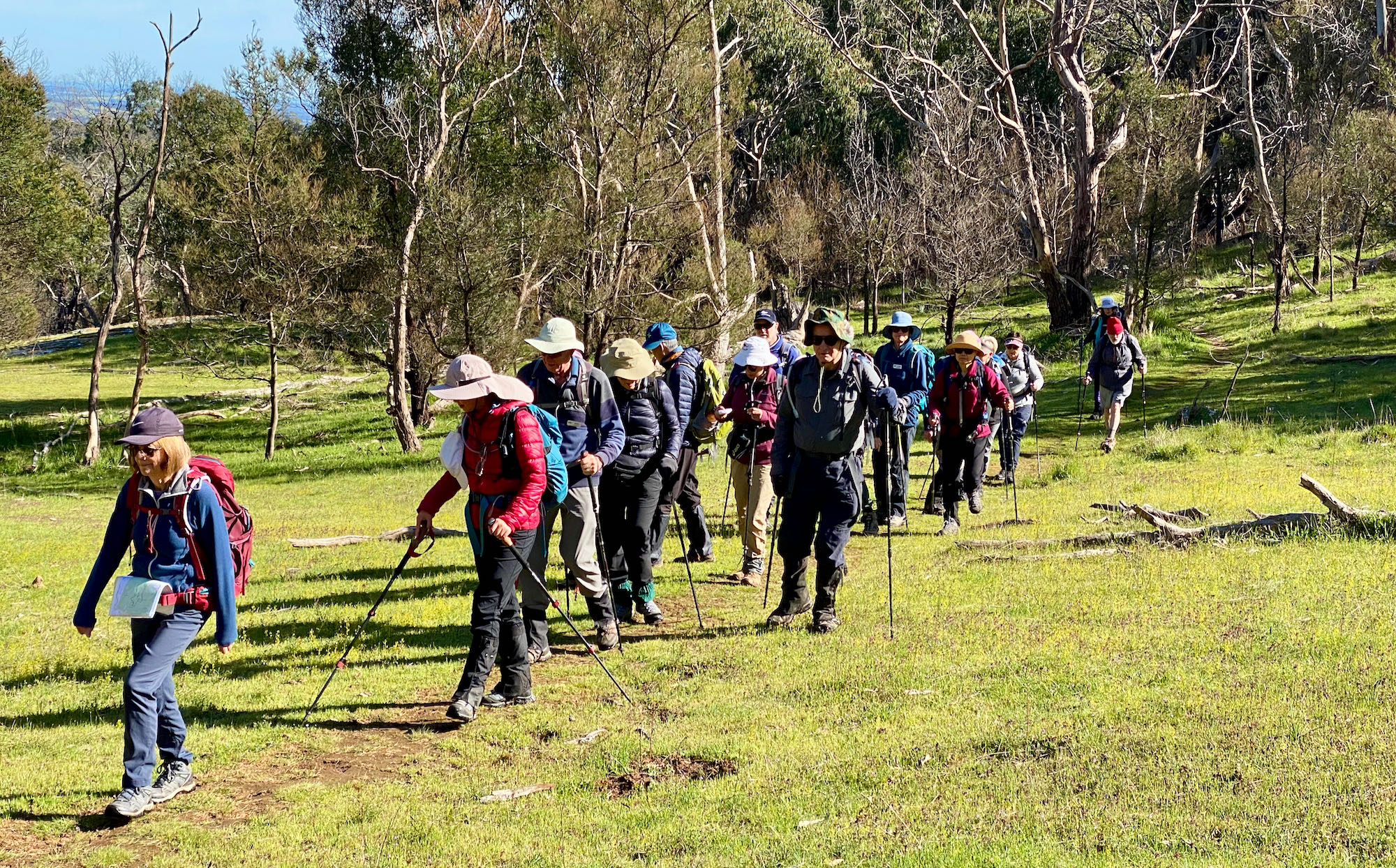 Walking With Us – Waverley Bushwalking Club