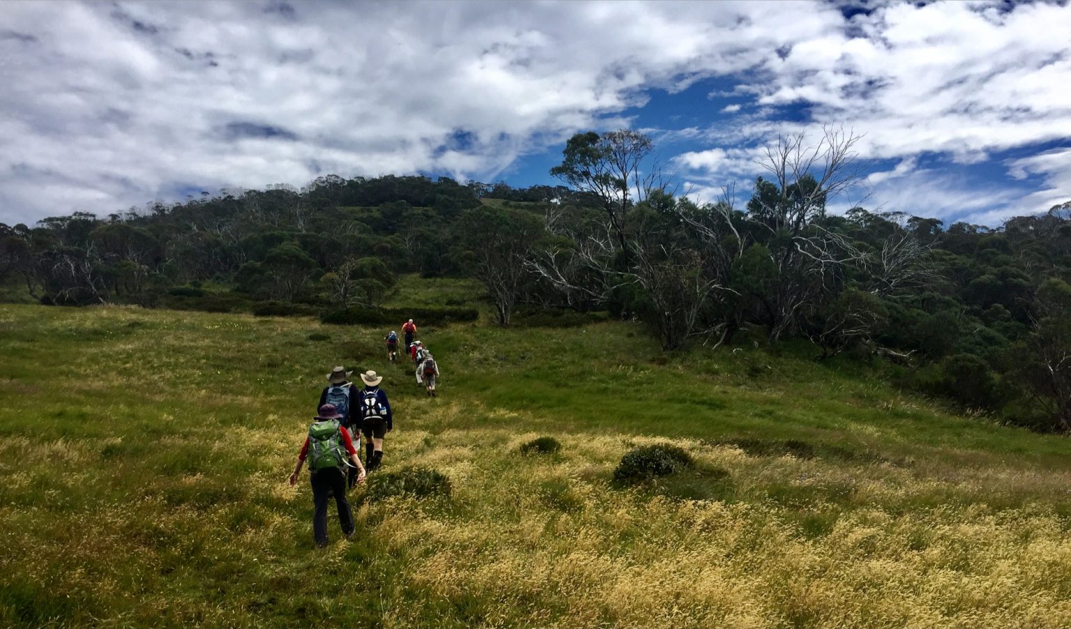 Photo Gallery – Waverley Bushwalking Club