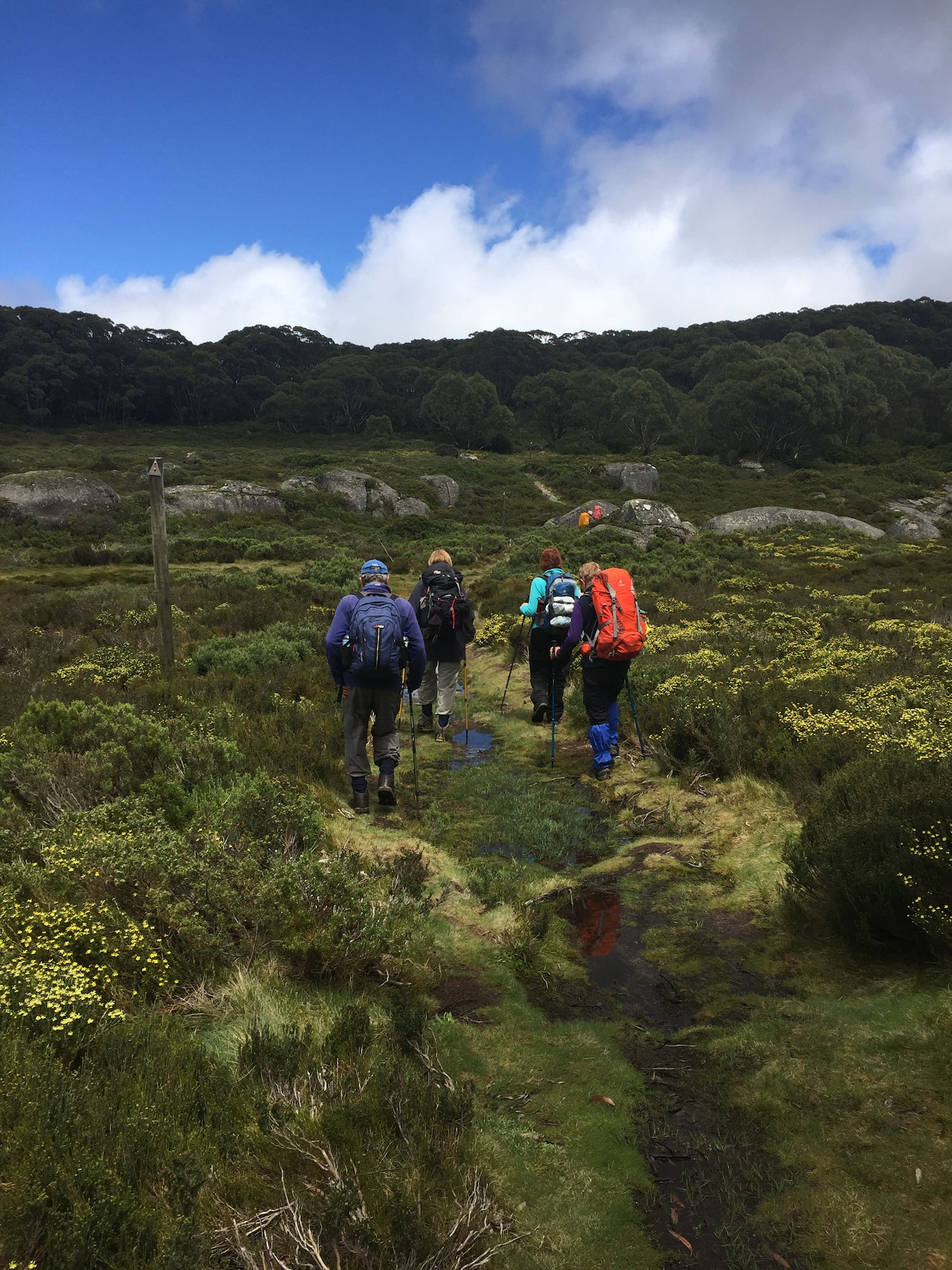 Photo Gallery – Waverley Bushwalking Club