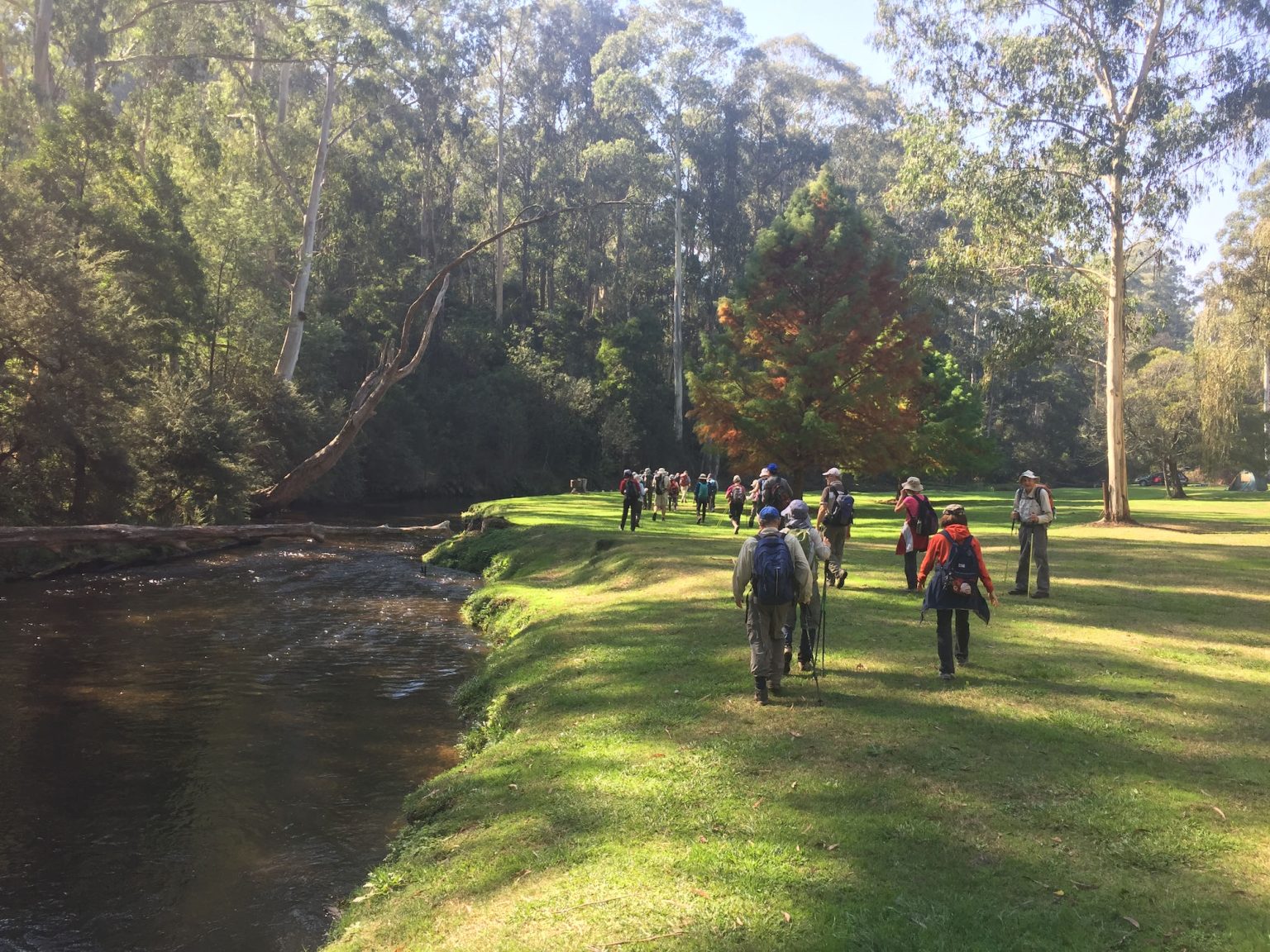 Join Us – Waverley Bushwalking Club