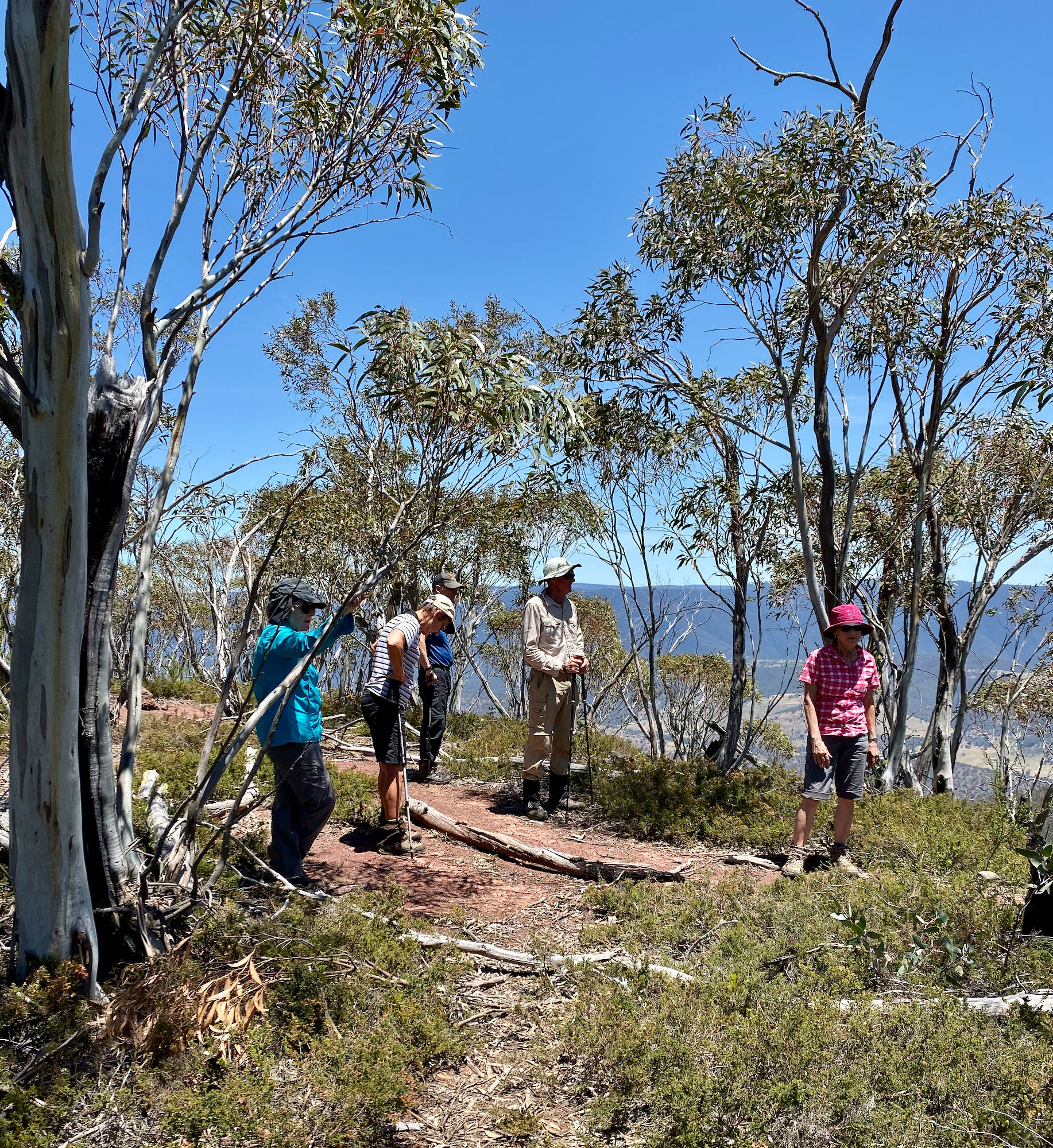 Walking With Us – Waverley Bushwalking Club